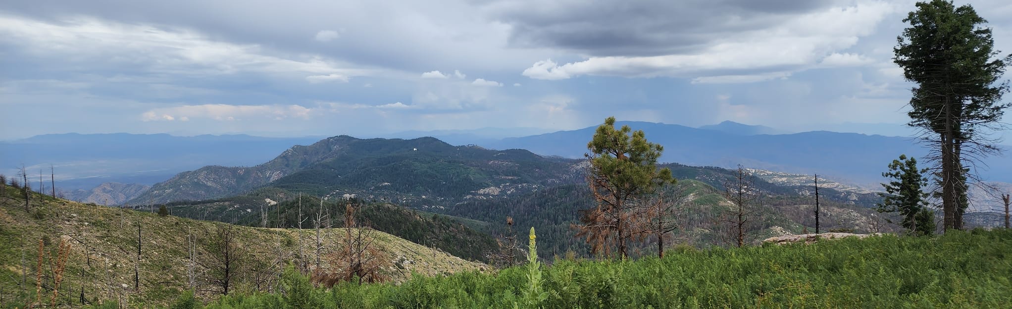 Mount Lemmon Loop: 179 Reviews, Map - Arizona | AllTrails