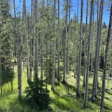 Goose Creek Trail, Colorado - 422 Reviews, Map | AllTrails