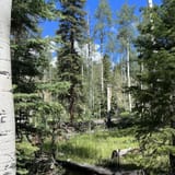 Goose Creek Trail, Colorado - 422 Reviews, Map | AllTrails