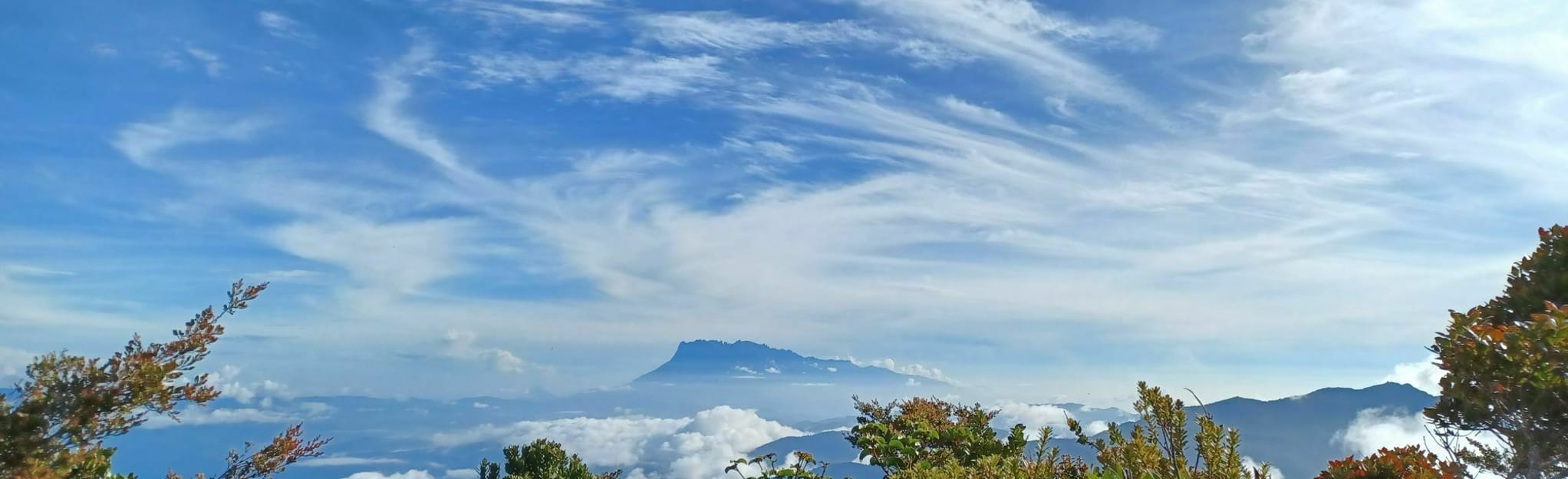 Mount Trusmadi, Sabah, Malaysia - 3 Reviews, Map | AllTrails