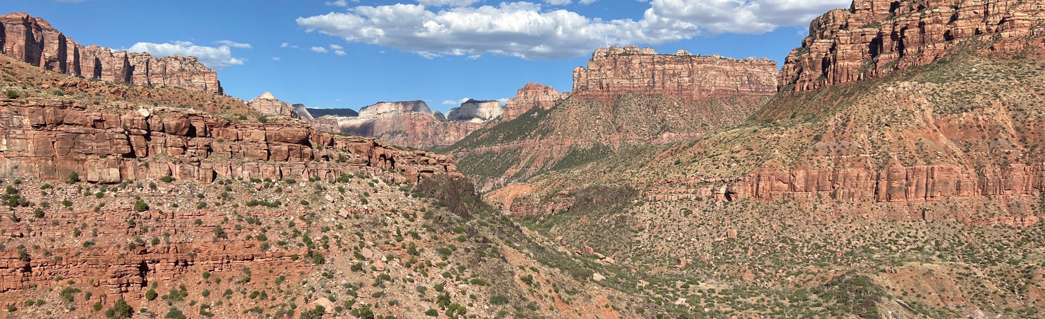 Grapevine Trail to Grapevine Spring: 48 Reviews, Map - Utah | AllTrails