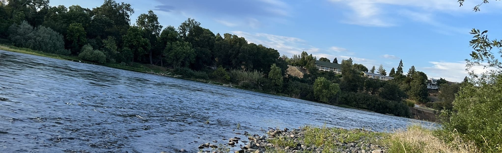 Anderson River Park Trail, California - 64 Reviews, Map | AllTrails