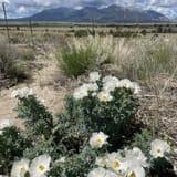 Turret Trail, Colorado - 315 Reviews, Map | AllTrails