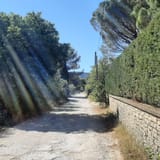 Via Domitia: Saint-Rémy-de-Provence, Bouches-du-Rhône, France - 27 ...