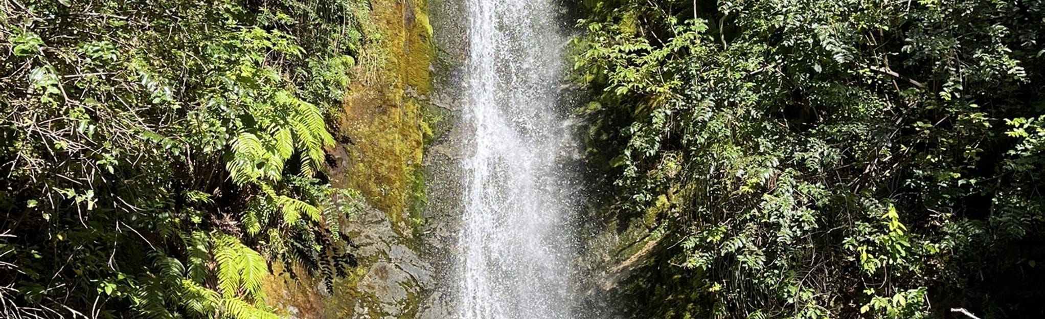 Stockyard Cove Track, Southland, New Zealand - Map, Guide | AllTrails