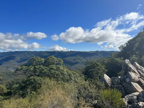 Best Views Trails in Numinbah Valley | AllTrails