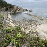 Cape Arago Loop Trail, Oregon - 278 Reviews, Map | AllTrails
