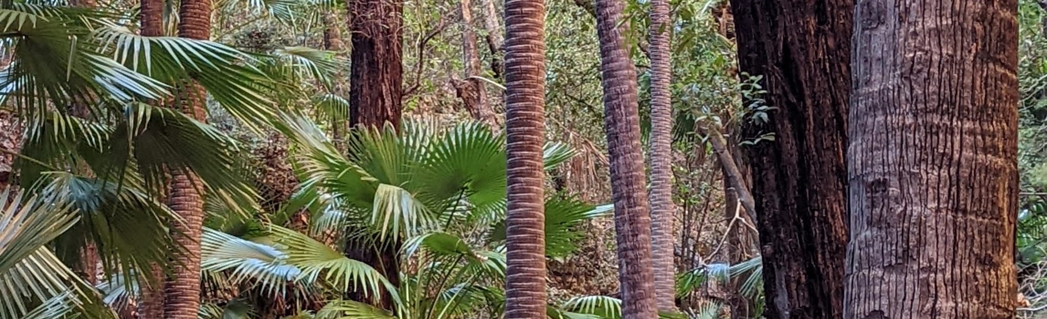 El Questro Gorge Walk: 29 Reviews, Map - Western Australia, Australia ...