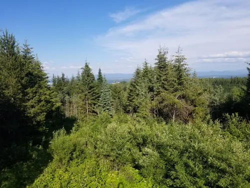 10 Best Trails and Hikes in Prince George | AllTrails