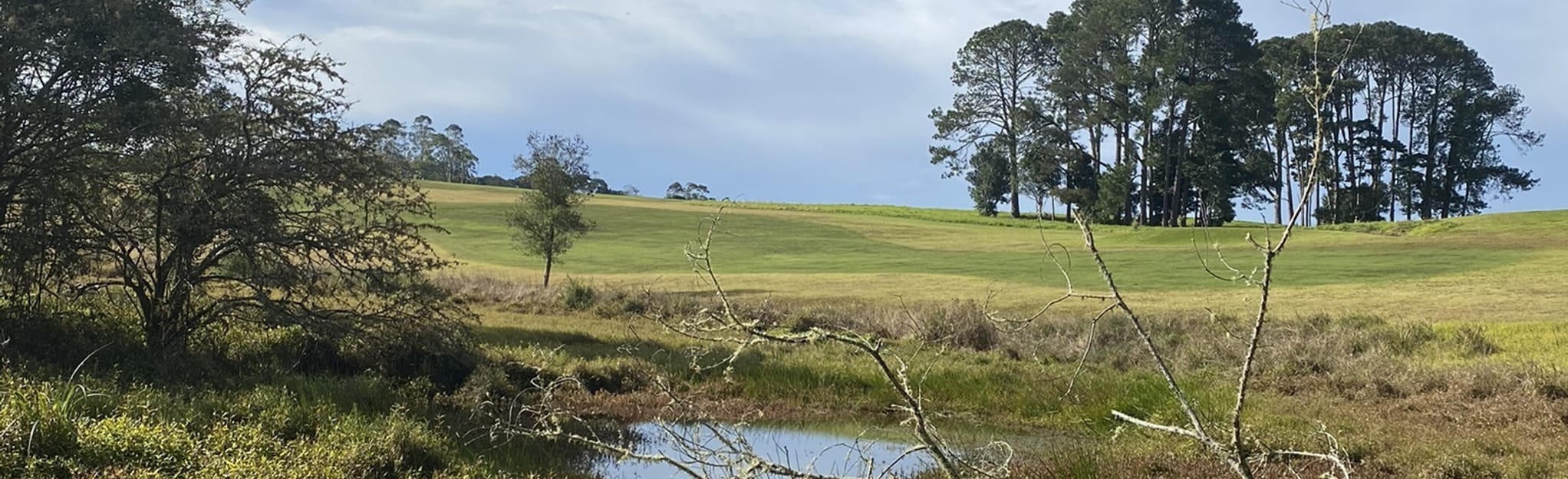 Obi Obi Creek Walk : 94 foto's - Queensland, Australia | AllTrails