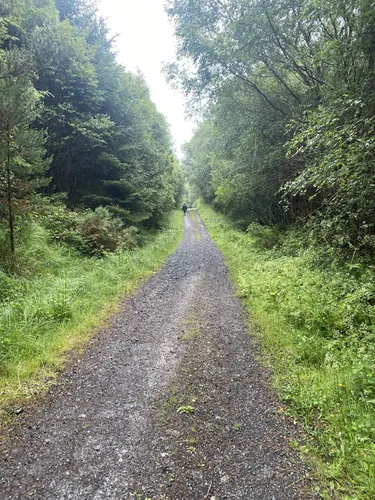 10 Best Trails and Hikes in County Galway | AllTrails