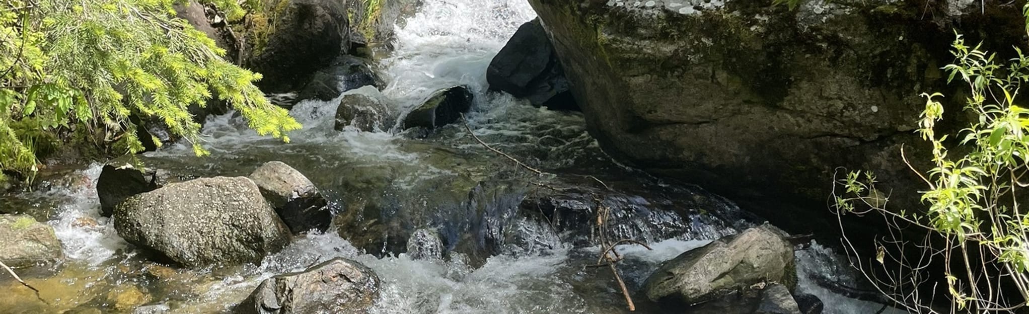 Sage Hen Nature Trail: 8 Reviews, Map - Idaho | AllTrails