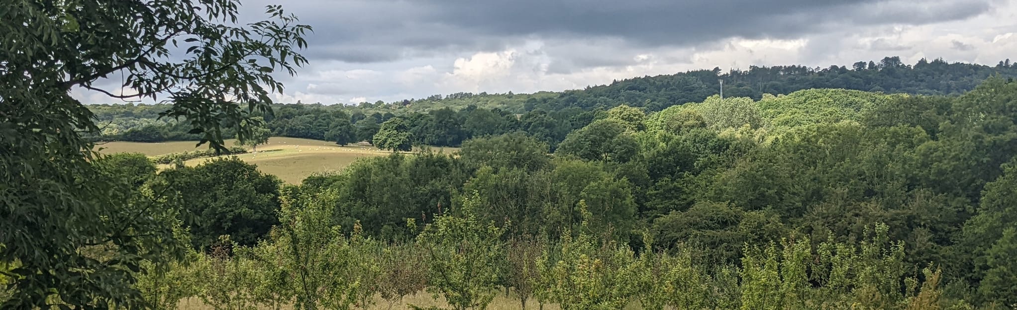 Hopwood - Upper Bittell Reservoir - Birmingham Canal Walk ...