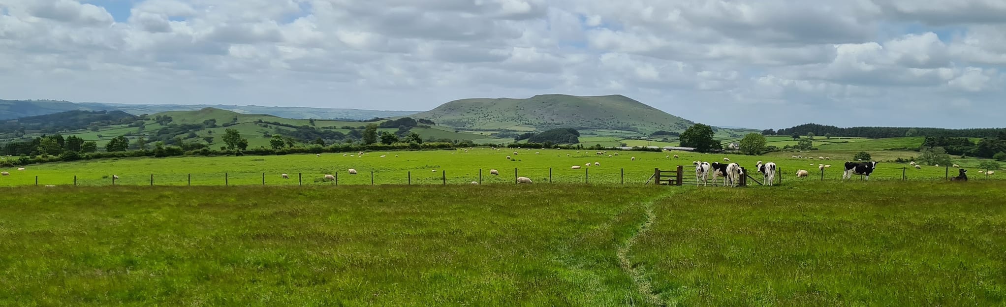 Tankerville and Shelve Circular, 33 Fotos - Shropshire, England | AllTrails