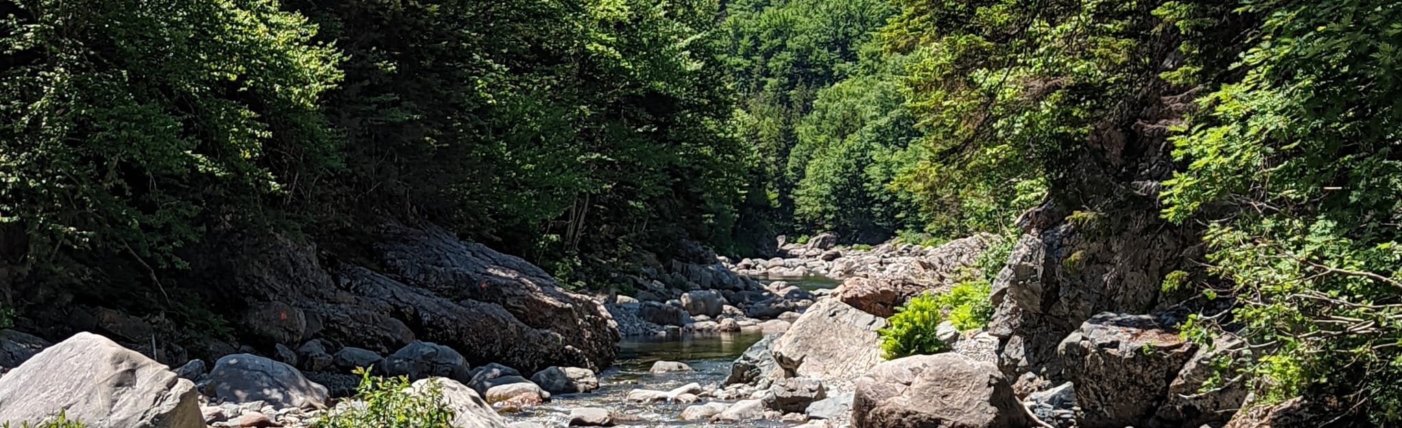 The Forks Trail : 29 Reviews, Map - New Brunswick, Canada | AllTrails