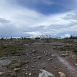 Rainbow Range Trail, British Columbia, Canada - 74 Reviews, Map | AllTrails