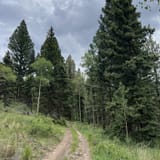 Cross Creek Trail via Cross Creek Campground, Colorado - 10 Reviews ...