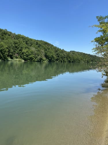 Best Hikes and Trails in Turgi | AllTrails