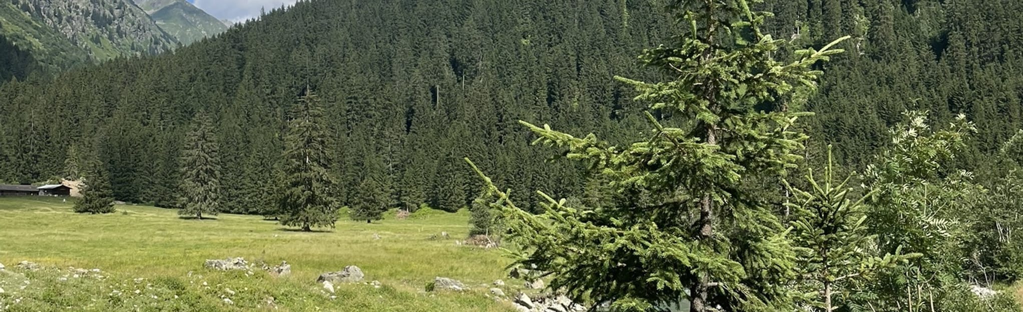 Alpine circular hiking trail Klosters stage 4: Monbiel | Map, Guide ...