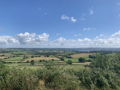 Best Hikes and Trails in Ashton Court Estate | AllTrails