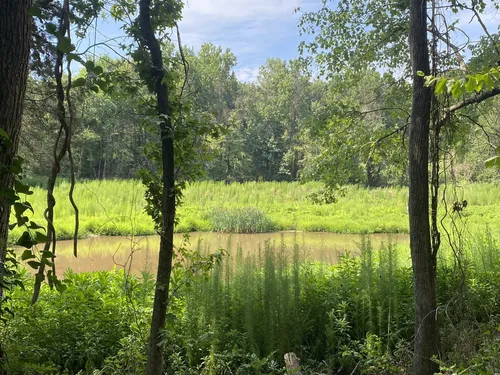 10 Best Trails and Hikes in Fort Mill | AllTrails