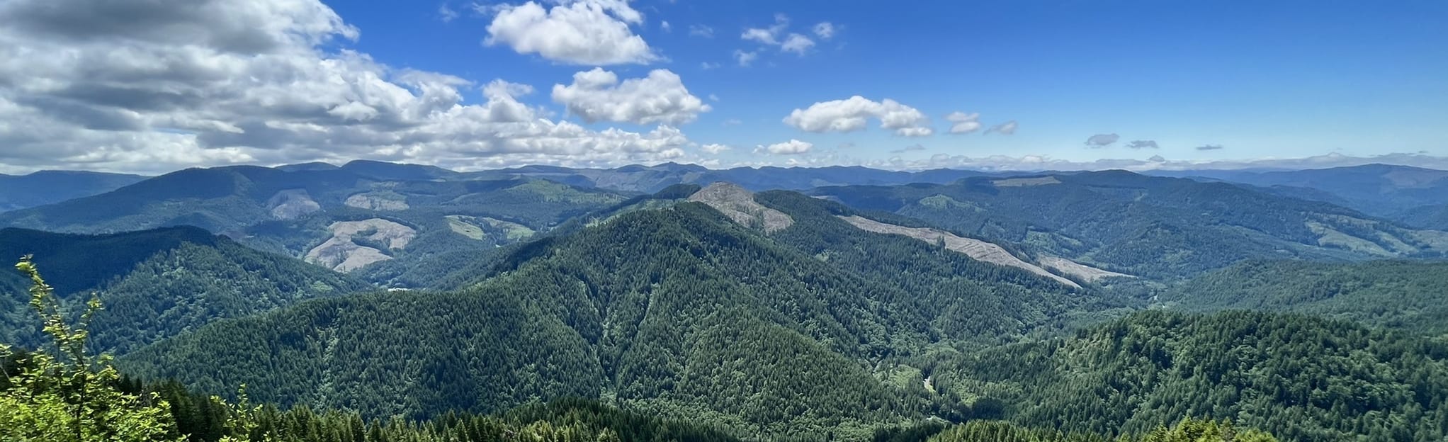 Elk Mountain - King's Mountain Loop, Oregon - 883 Reviews, Map | AllTrails