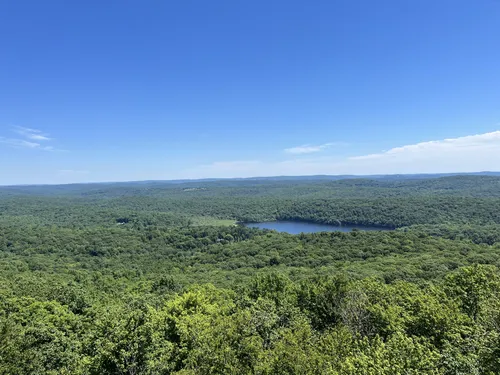 Best Hikes and Trails in Ninham Mountain Multiple Use Area | AllTrails