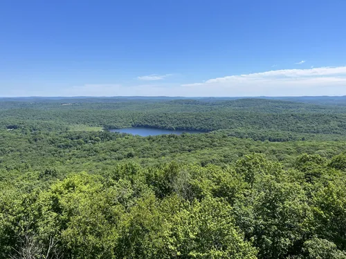 10 Best Forest Trails in Kent Cliffs | AllTrails