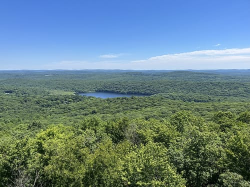 Best Hikes and Trails in Ninham Mountain Multiple Use Area | AllTrails