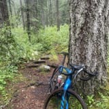 Yellow Point Bog Ecological Reserve and Yellow Point Park Loop, British ...