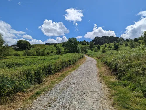 I 10 migliori sentieri di trekking in Ilkley Moor | AllTrails