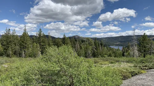 2023 Best Bird Watching Trails in Emigrant Gap | AllTrails