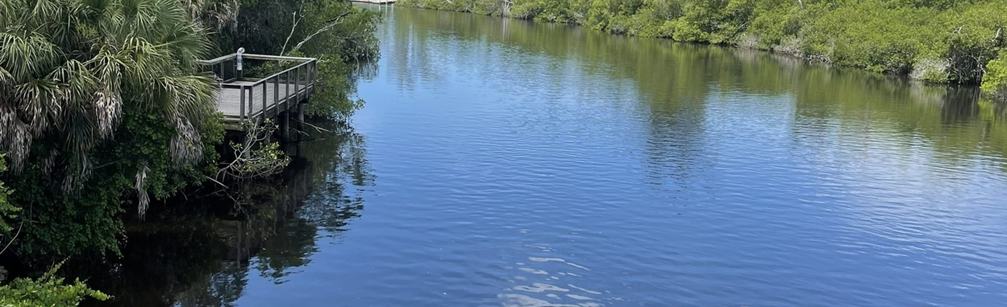 Gordon River Greenway, Florida - 826 Reviews, Map | AllTrails