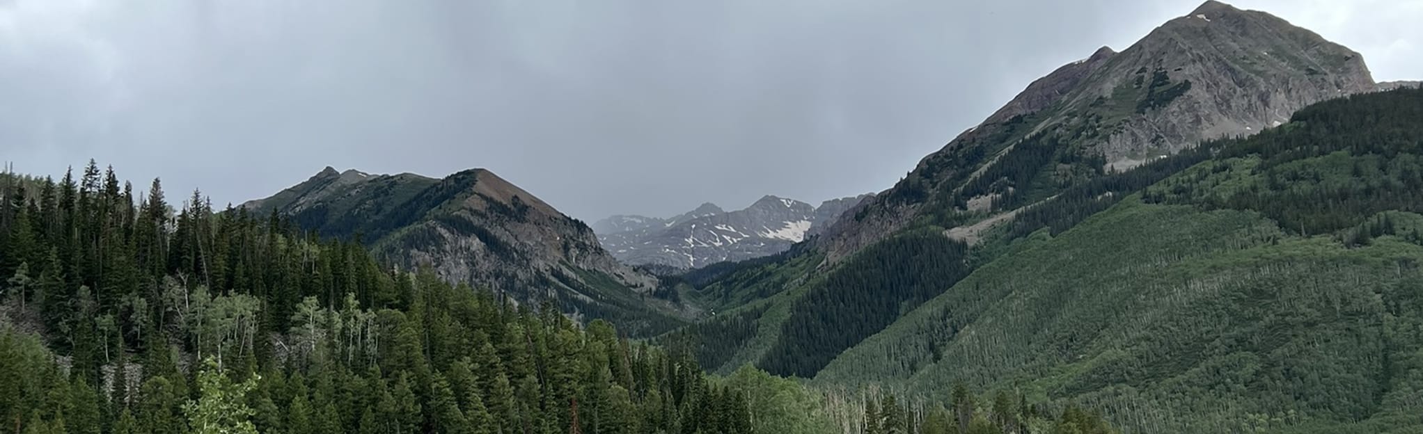 Taylor Pass and Express Creek Road OHV Trail - Colorado | AllTrails
