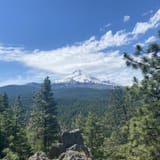 Dog River Trail, Oregon - 222 Reviews, Map | AllTrails