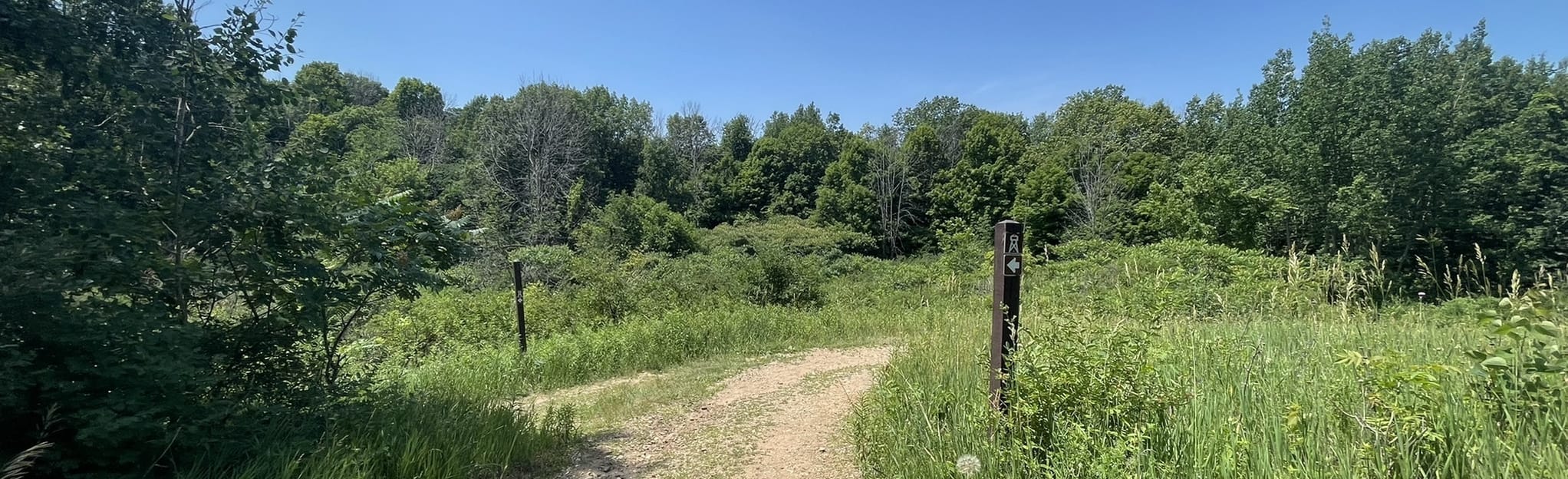 Ice Age Trail: Pike Lake - Wisconsin | AllTrails
