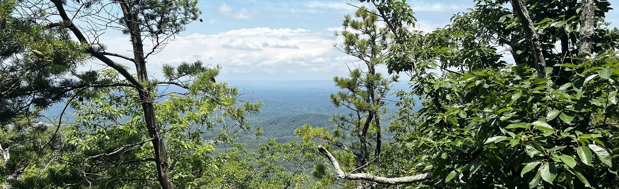 Dan River to Hanging Rock via Indian Creek Trail: 89 Reviews, Map ...