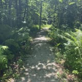 Gros Cap Loop, Michigan - 105 Reviews, Map | AllTrails