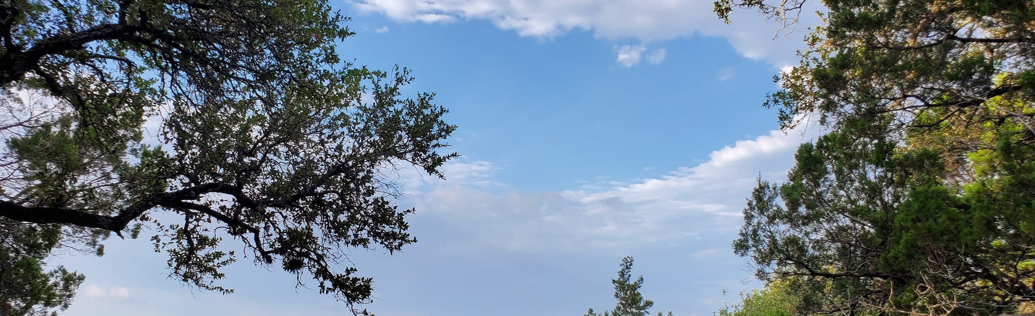 Russell Park to Walnut Spring Park, Texas - 539 Reviews, Map | AllTrails