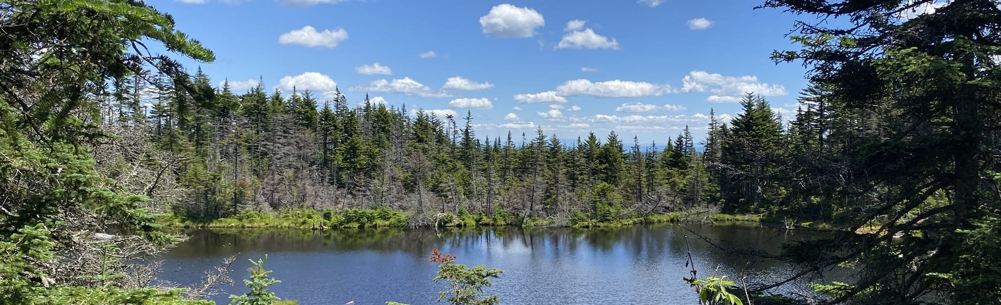Skylight Pond Trail: 243 Reviews, Map - Vermont | AllTrails