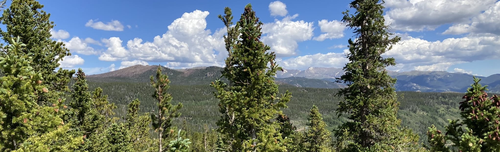 Timberline Falls and Sky Pond Trail | Mapa, Roteiro - Colorado | AllTrails