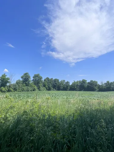 10 Best Trails and Hikes in Halton Hills | AllTrails
