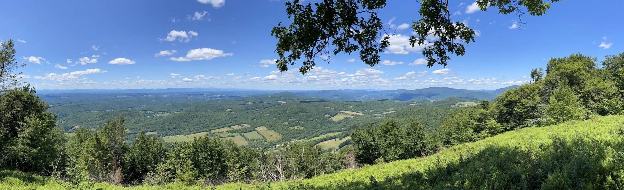 Antone Mountain Loop: 117 Reviews, Map - Vermont | AllTrails