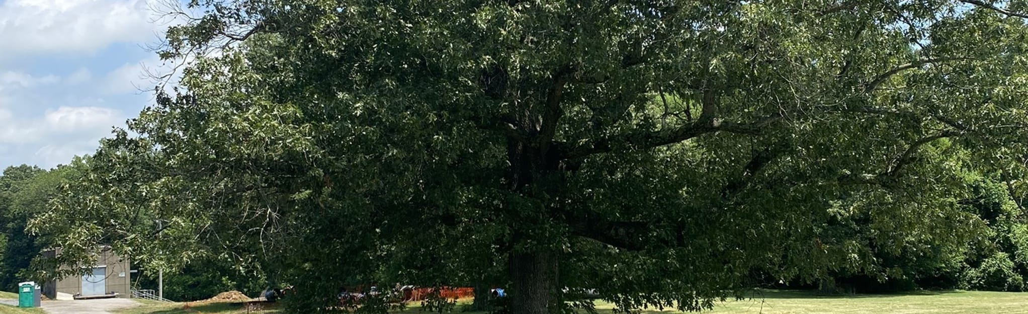 Clyde F. Boyles Greenway Trail: 248 Reviews, Map - Kentucky | AllTrails