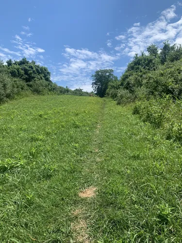 10 Best Hikes and Trails in Barboursville City Park | AllTrails