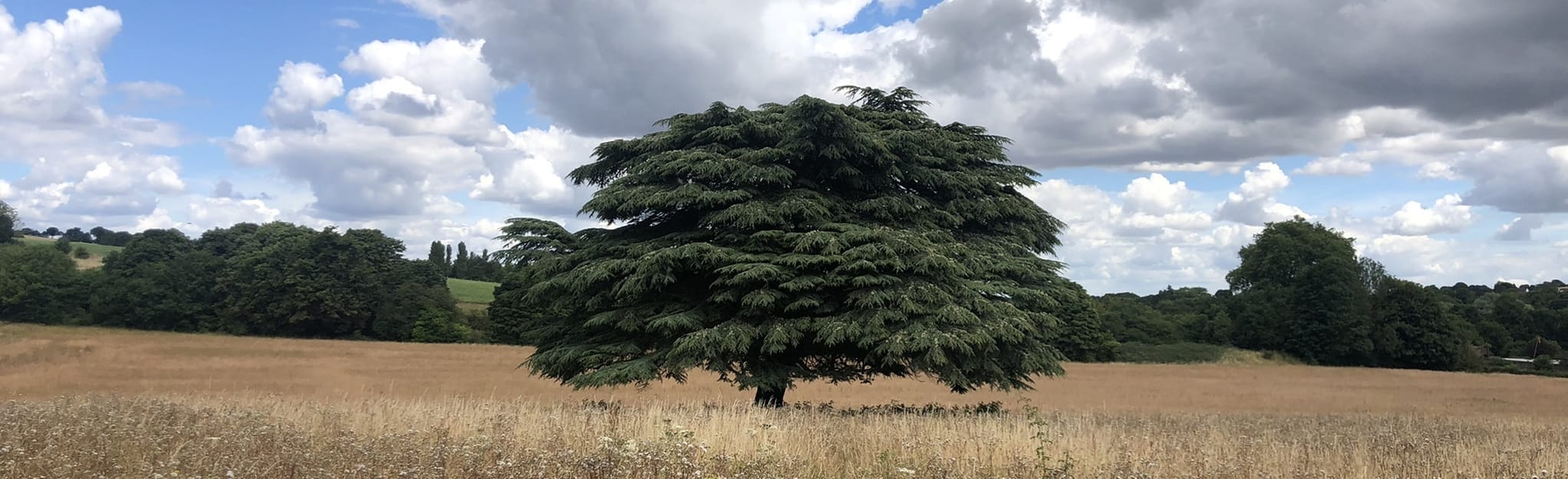 Lullingstone Country Park Extended - Kent, England | AllTrails