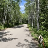 Wasagaming Campground , Manitoba, Canada - 73 Reviews, Map | AllTrails