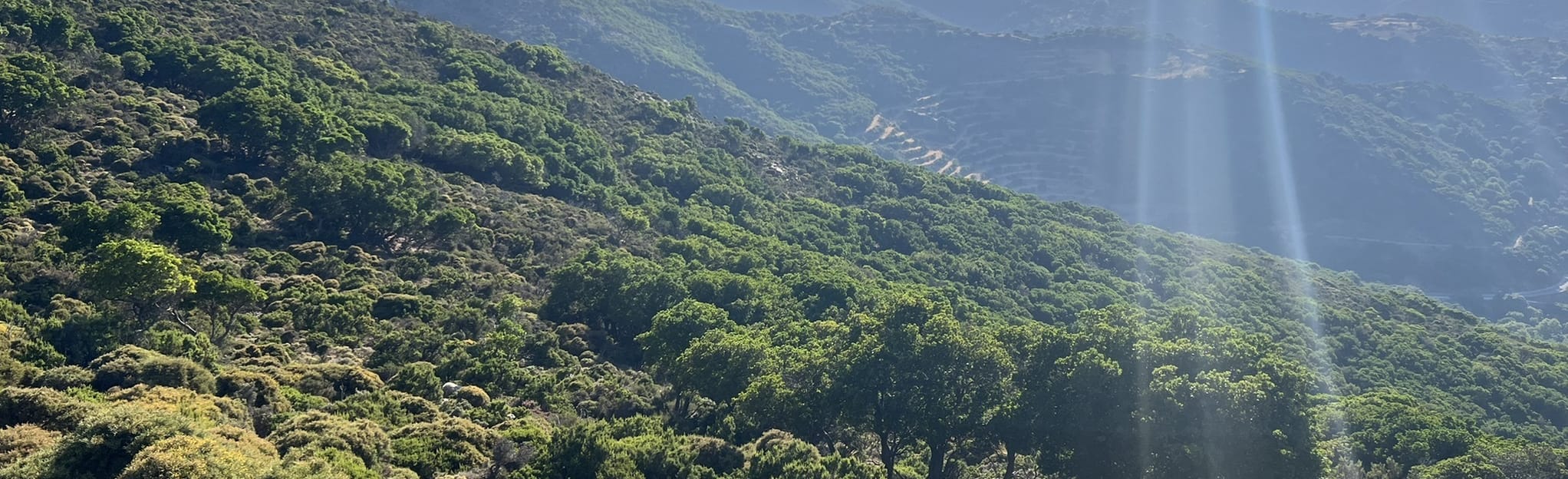 Milia Circuit: 4 Reviews, Map - Crete, Greece | AllTrails