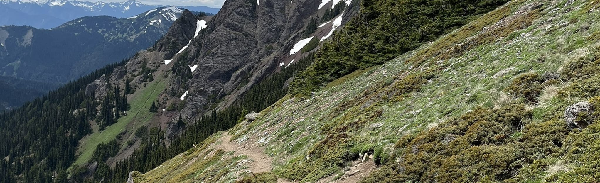 Heather Park via Lake Angeles Trail | Map, Guide - Washington | AllTrails