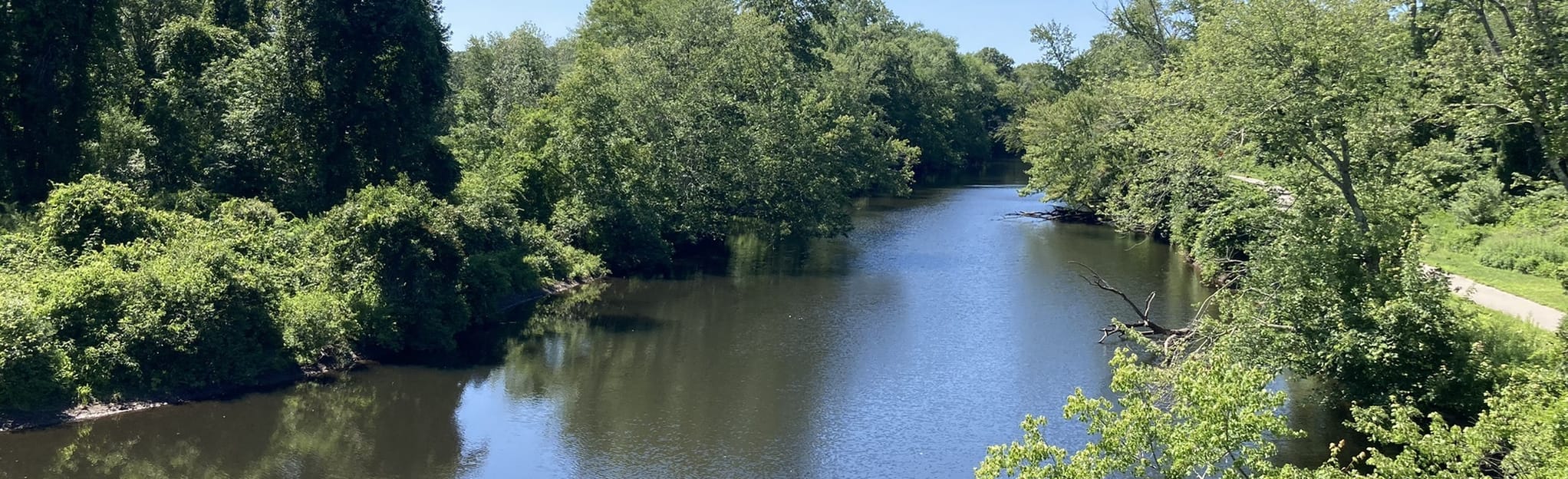 Hop River State Park Trail, Connecticut - 354 Reviews, Map | AllTrails